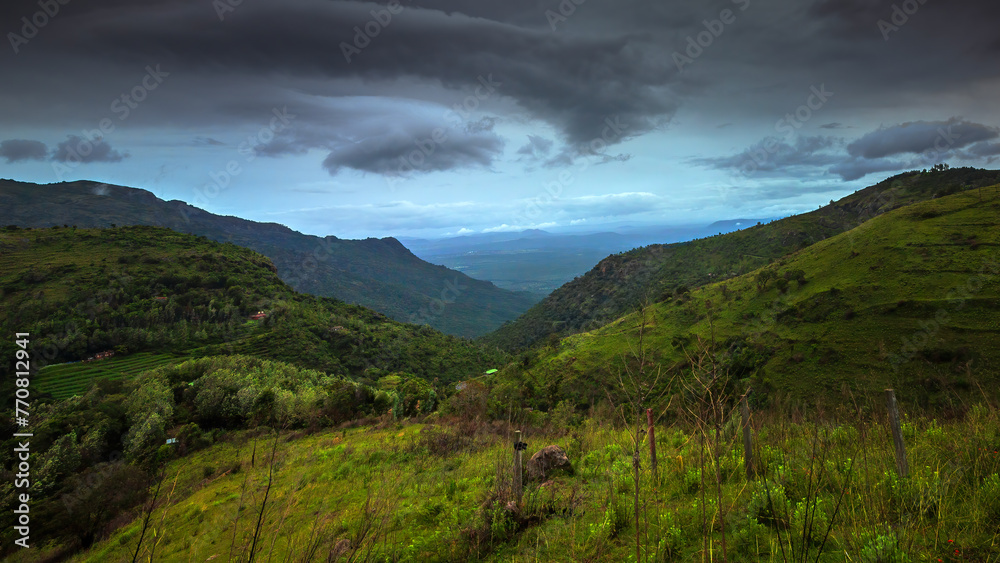 Nature background green environment -Tea Garden at Kotagiri hill India ...