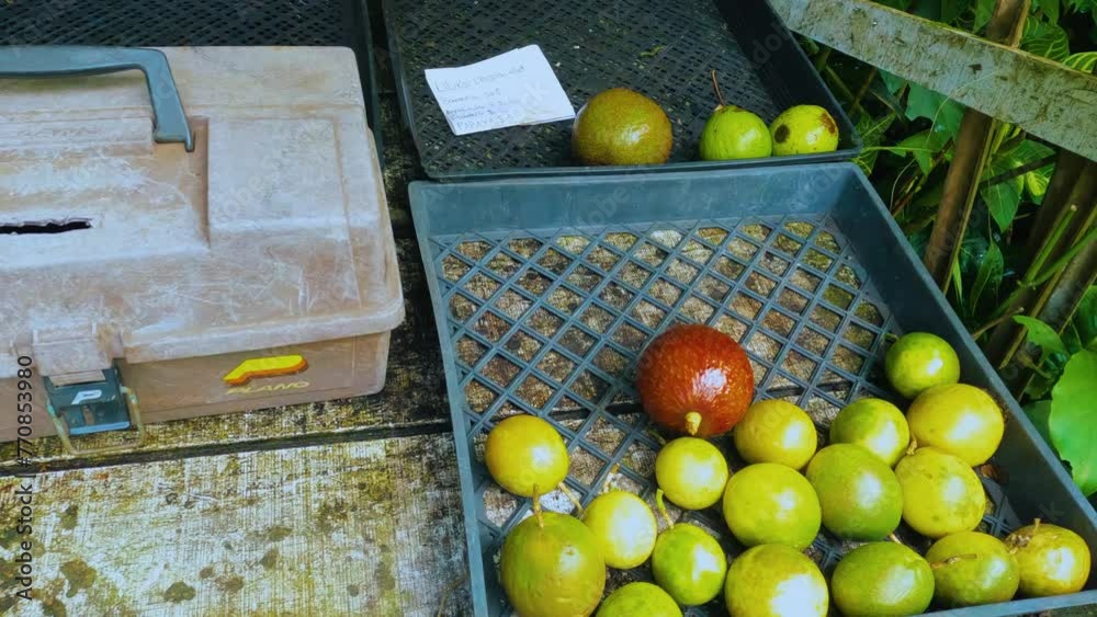 Zoom out shot of a small fruit stand with fruits for sale. Close up of ...