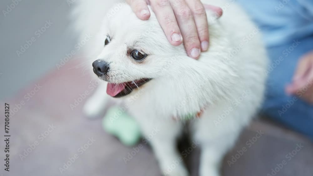 Young, handsome, caucasian man touching and holding his loyal pet dog ...