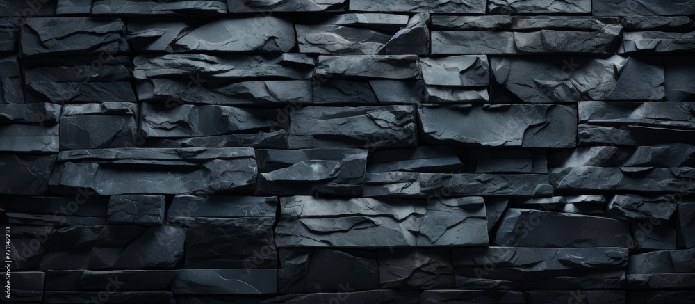 A monochrome photography close up of a grey bedrock wall with a wood ...