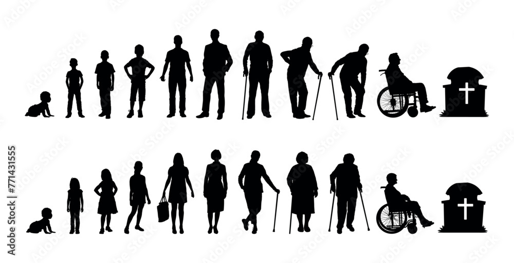 Photo & Art Print Human life cycle stages from birth to death vector ...