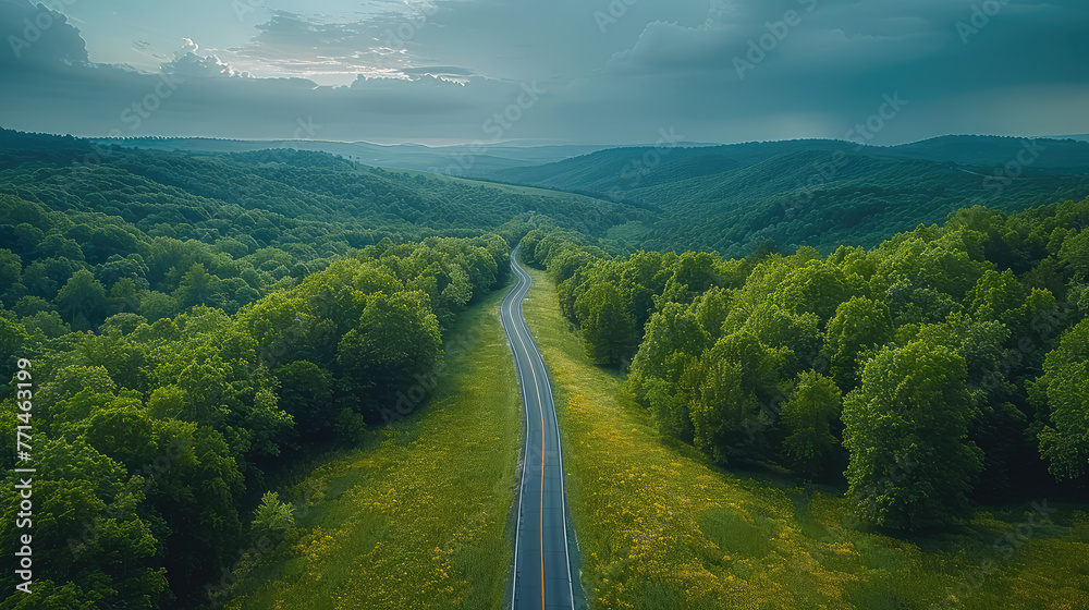 l view of the blue ridge mountains in West Virginia with green trees ...
