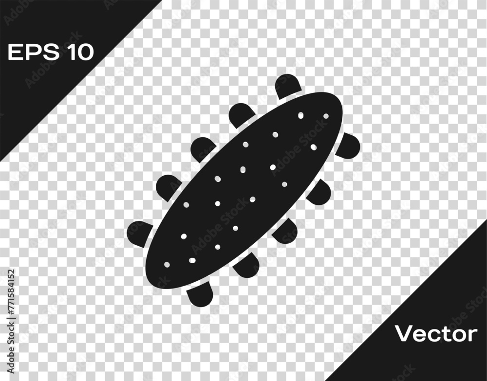 Black Sea cucumber icon isolated on transparent background. Marine food ...