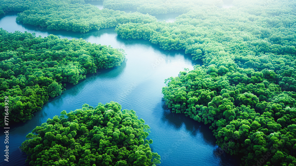 Carbon Capture Concept Natural Carbon Sinks Mangrove Trees Capture Co2 From The Atmosphere