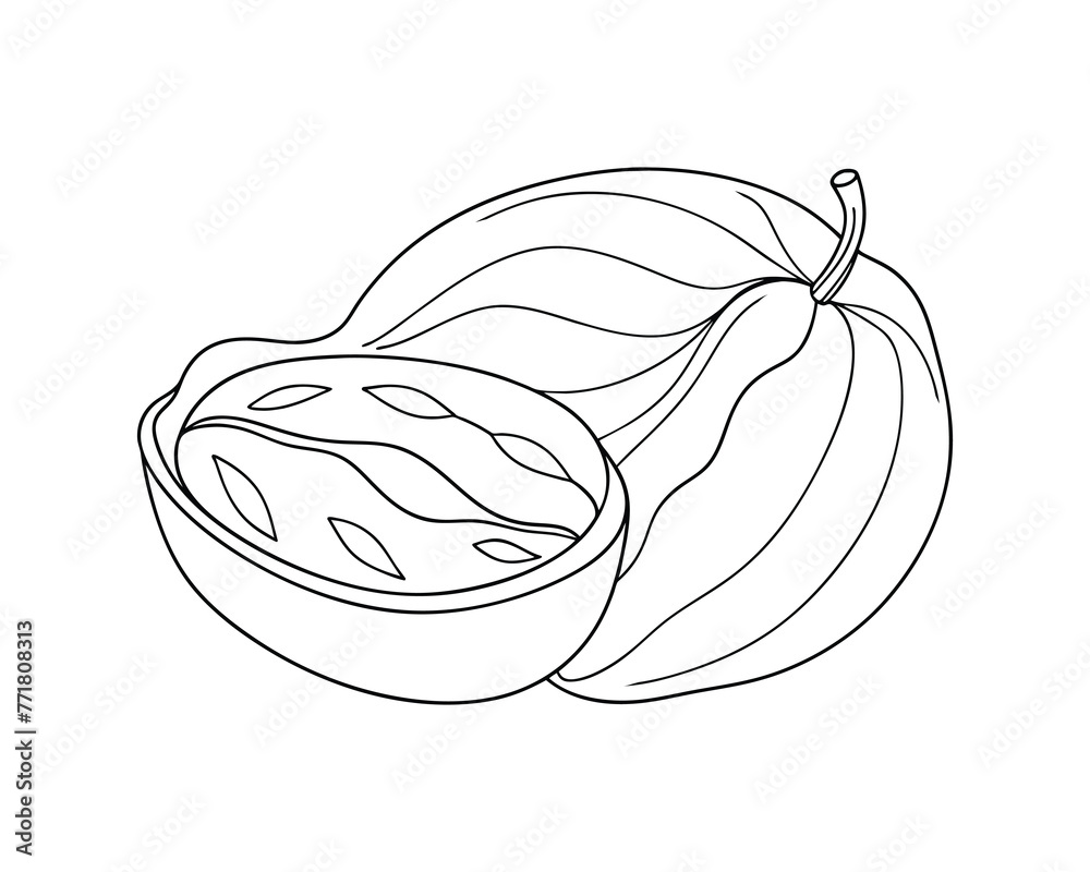 Betel nut continuous black line art drawing vector illustration on ...