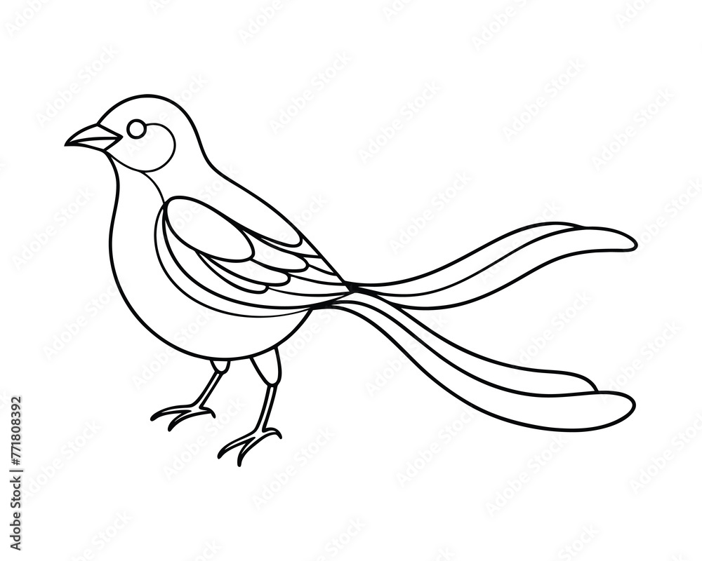 Bird continuous black line art drawing vector illustration on white ...