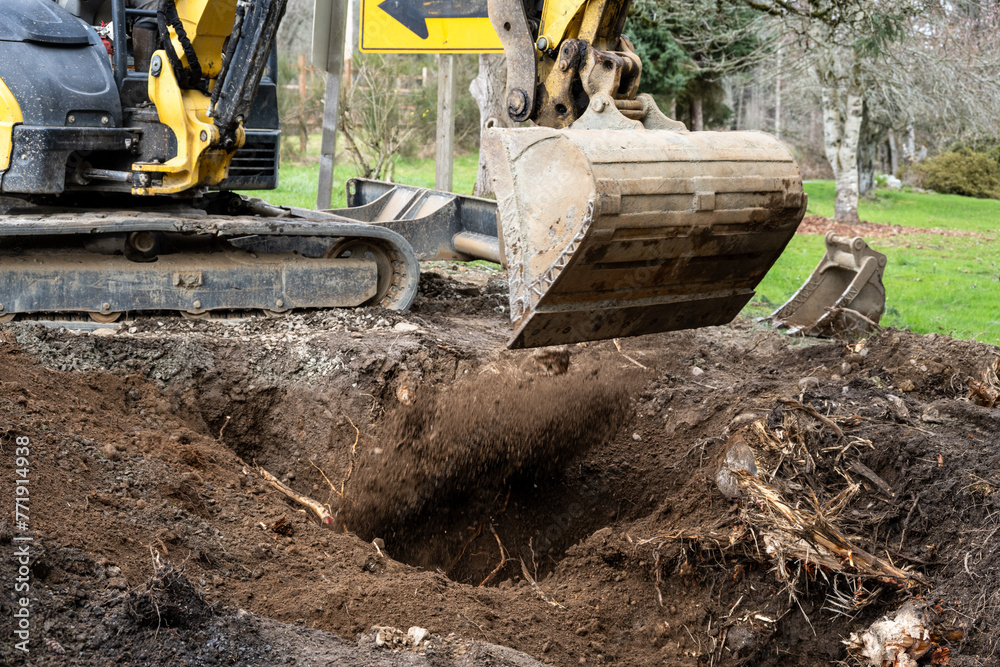 Excavator with large bucket dropping dirt into a hole where tree stump ...