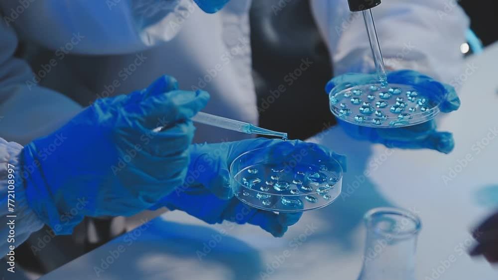 Female Research Scientist Uses Micropipette Filling Test Tubes ...