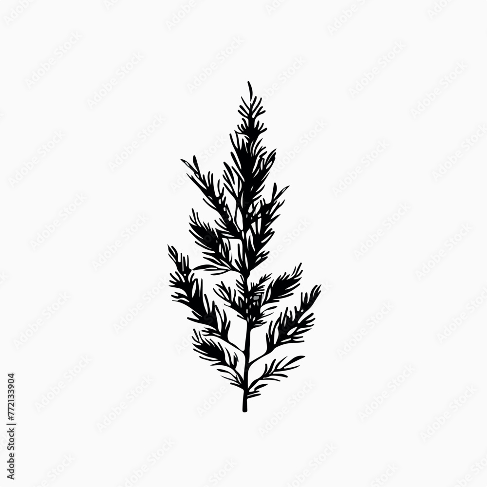 Juniper in cartoon, doodle style. Image for t-shirt, web, mobile apps ...