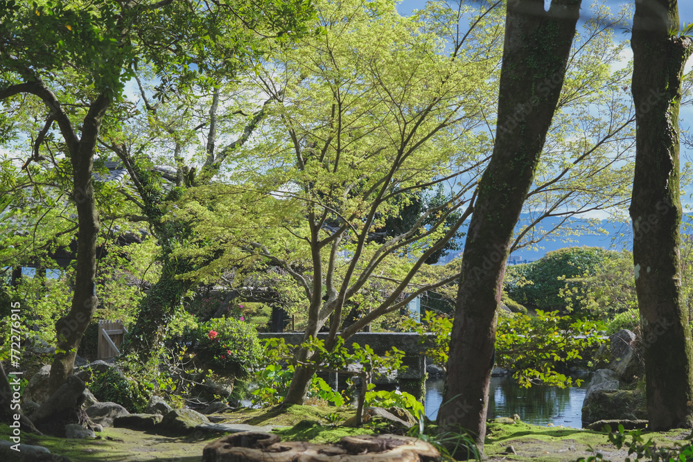 Sengan-en Japanese garden with former Shimazu clan residence in ...