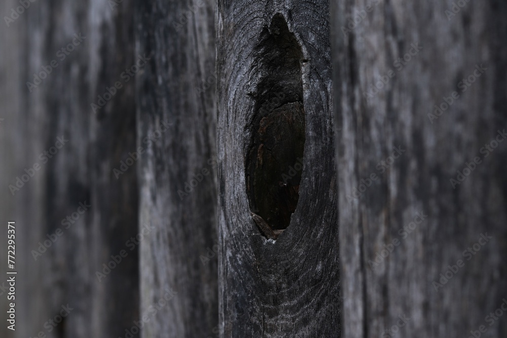 weathered wooden surface with a prominent knot hole at its center. wood ...