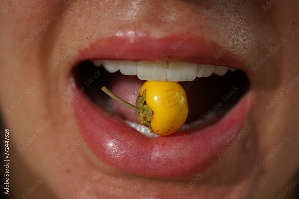 Muruci fruits (Byrsonima crassifolia), also known as murici, from a ...