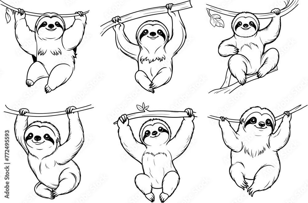 Unau Linnaeuss Two Toed Sloth hand drawn coloring page and outline ...