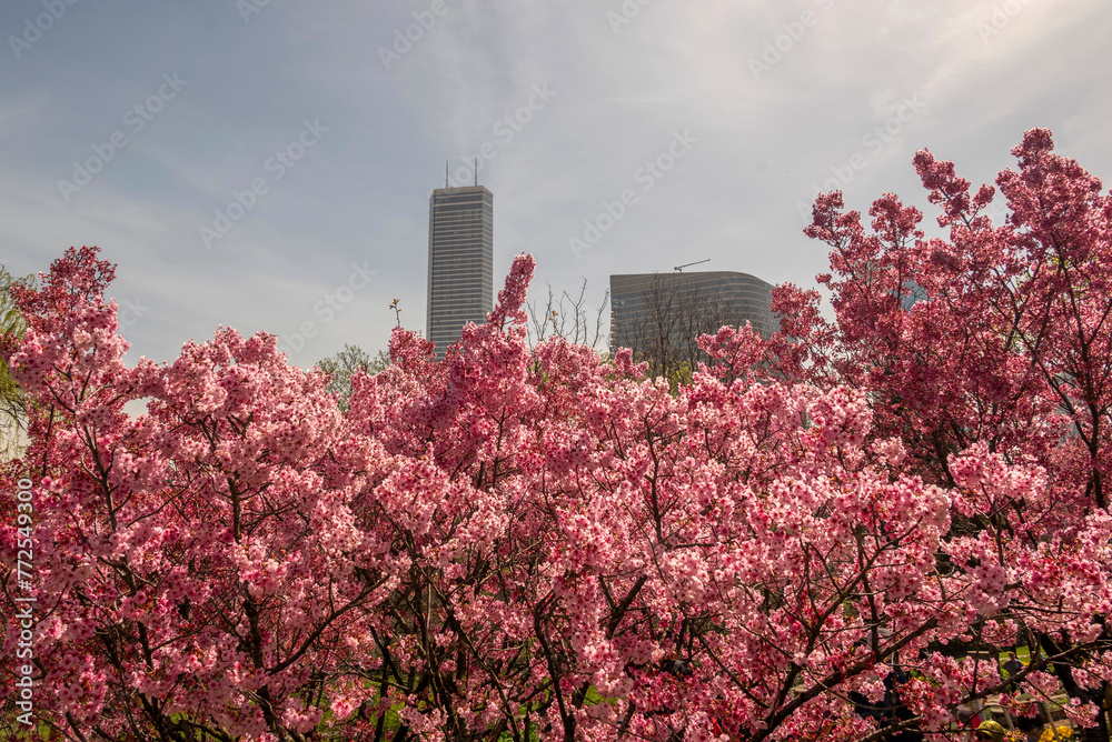 Atasehir District of Istanbul, Turkey View of The Botanic Garden, high ...
