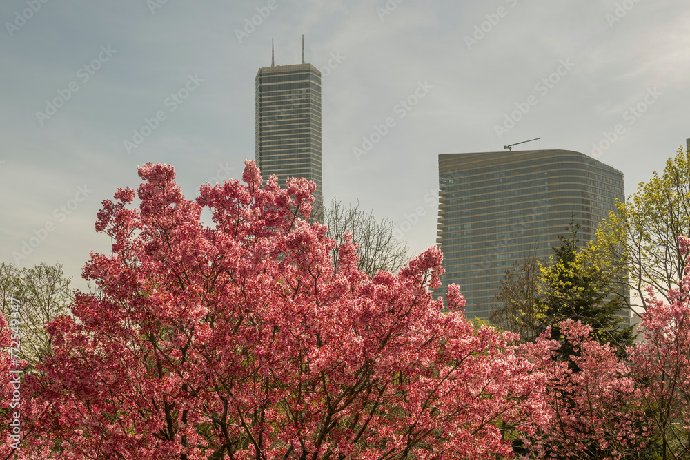 Atasehir District of Istanbul, Turkey View of The Botanic Garden, high ...