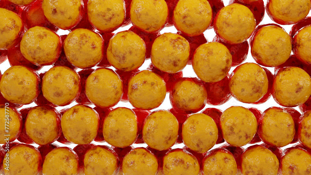 Fat cells, adipocyte and lipocyte, cholesterol in a cells, White fat ...