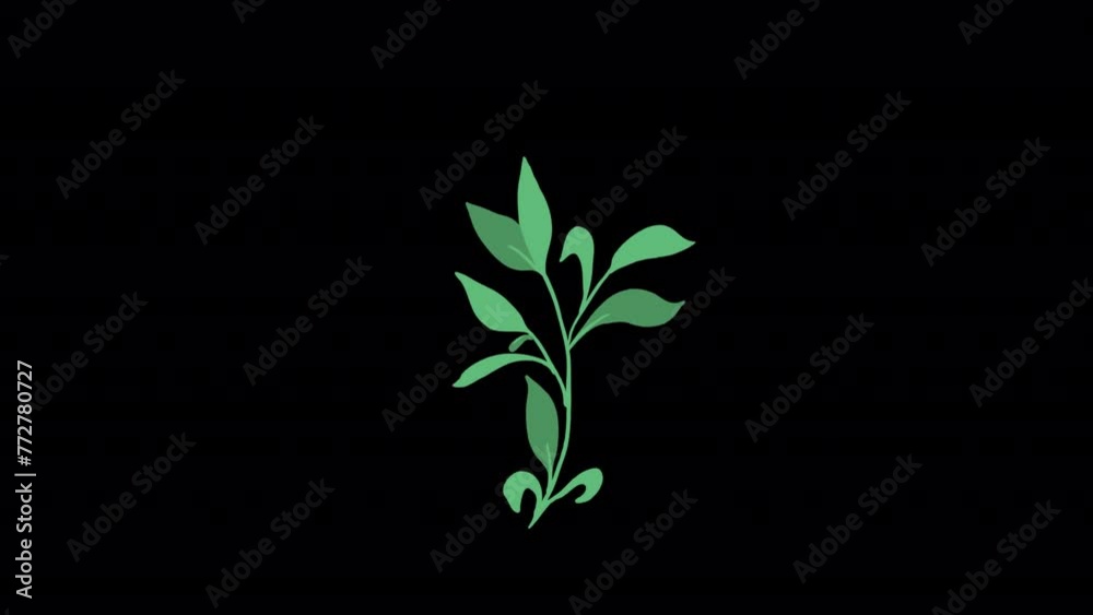 The Plants motion graphics pack brings a vibrant selection of hand ...