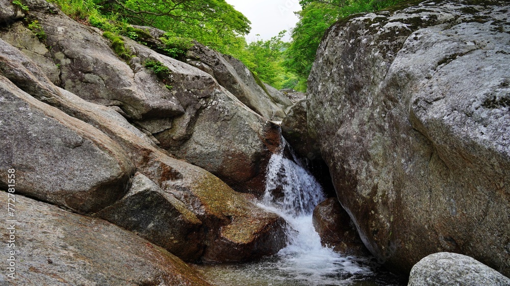 Scenery of the clean valley of Jiri Mountain in Korea Stock Photo ...