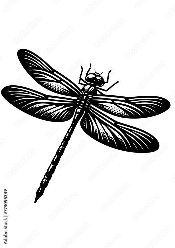 Dragonfly SVG, Dragonfly Wings SVG, Dragonfly png, insects svg ...