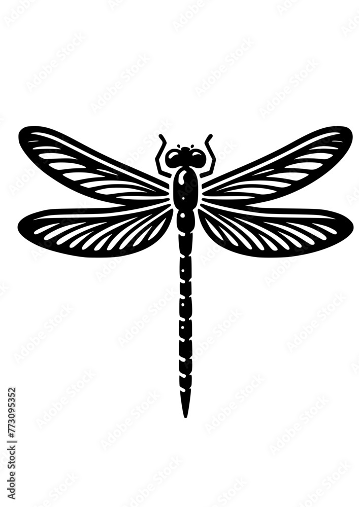 Dragonfly SVG, Dragonfly Wings SVG, Dragonfly png, insects svg ...