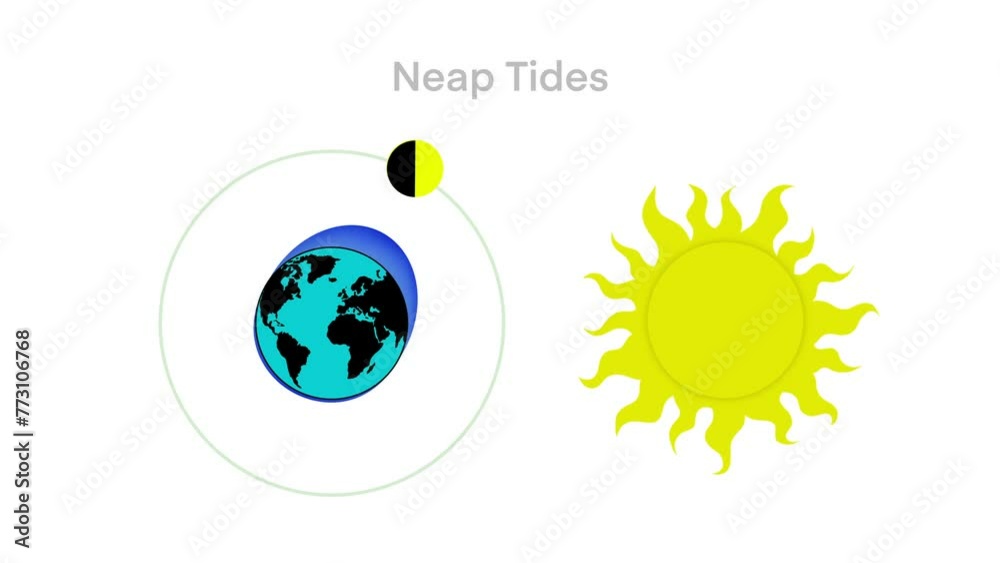 Vidéo Stock Tidal movements on Earth, Lunar and Solar tides, Spring and ...