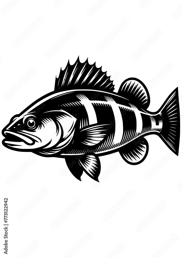 Walleye svg, Walleye png, Walleye Silhouette, Walleye Fishing svg ...