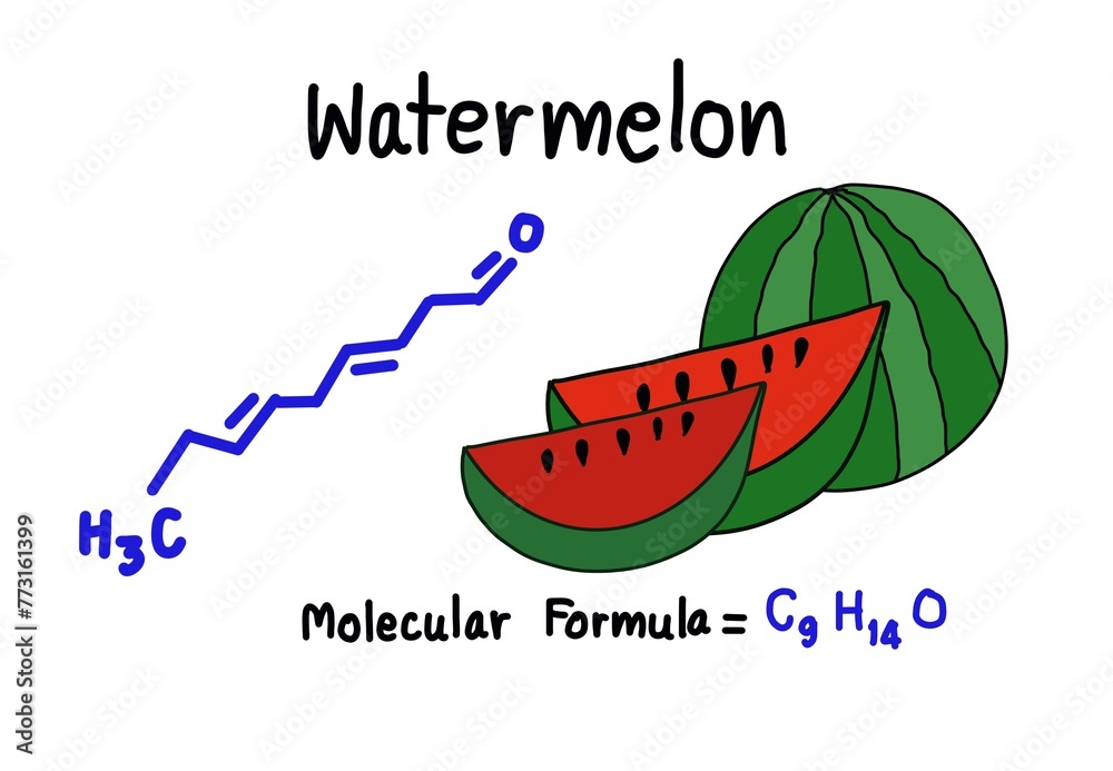 Hand drawn picture of watermelon with molecular formula. Concept ...