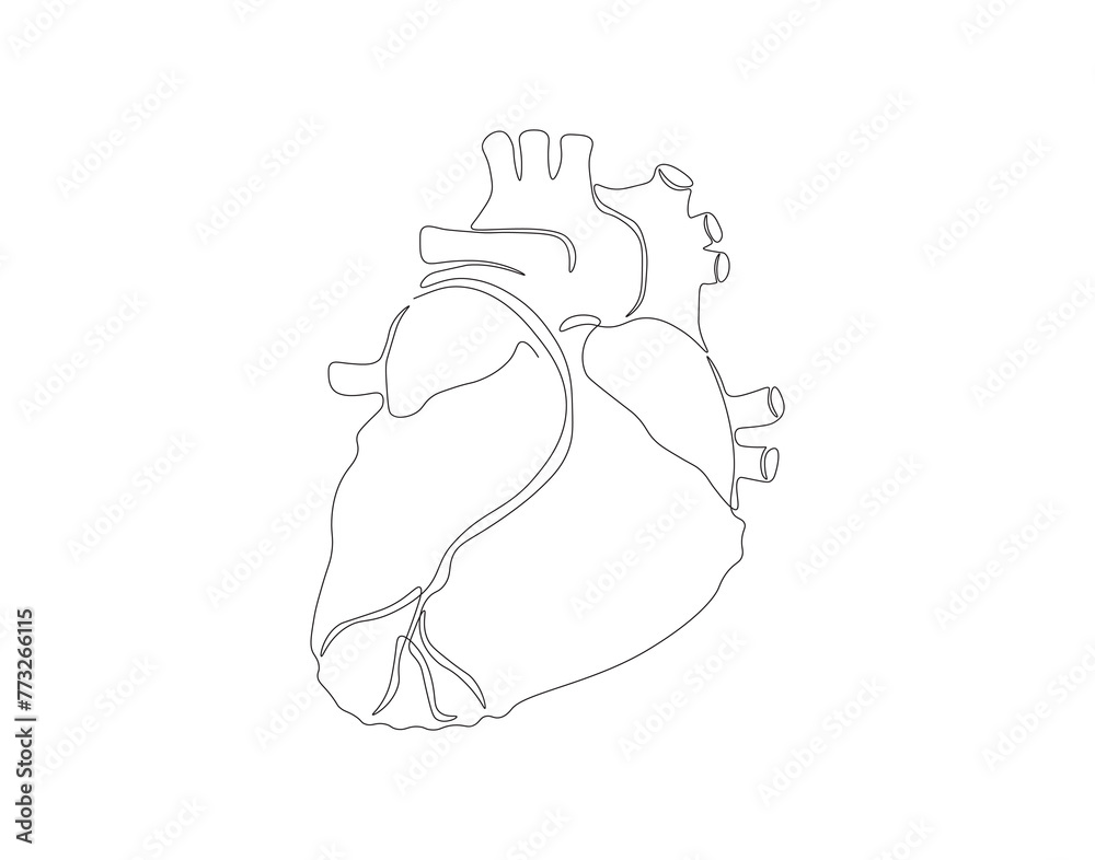 Continuous one line drawing of human heart organ. One line of ...