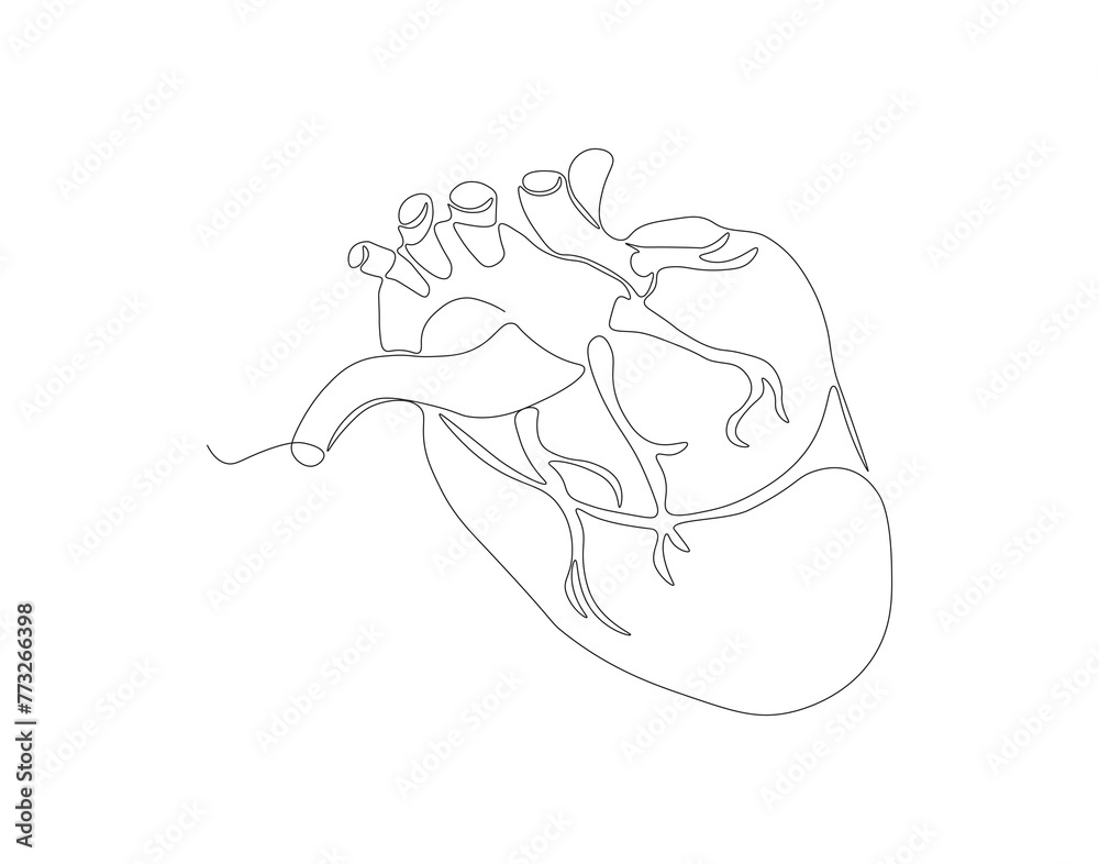 Continuous one line drawing of human heart organ. One line of ...