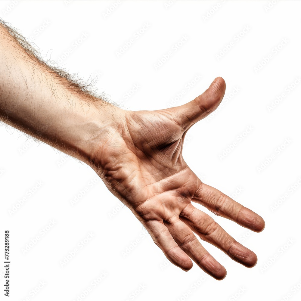 Isolated image of a male left hand on a white background, ideal for ...