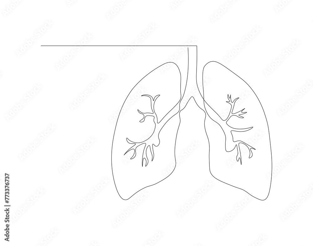 Continuous one line drawing of human lungs. One line of anatomical ...