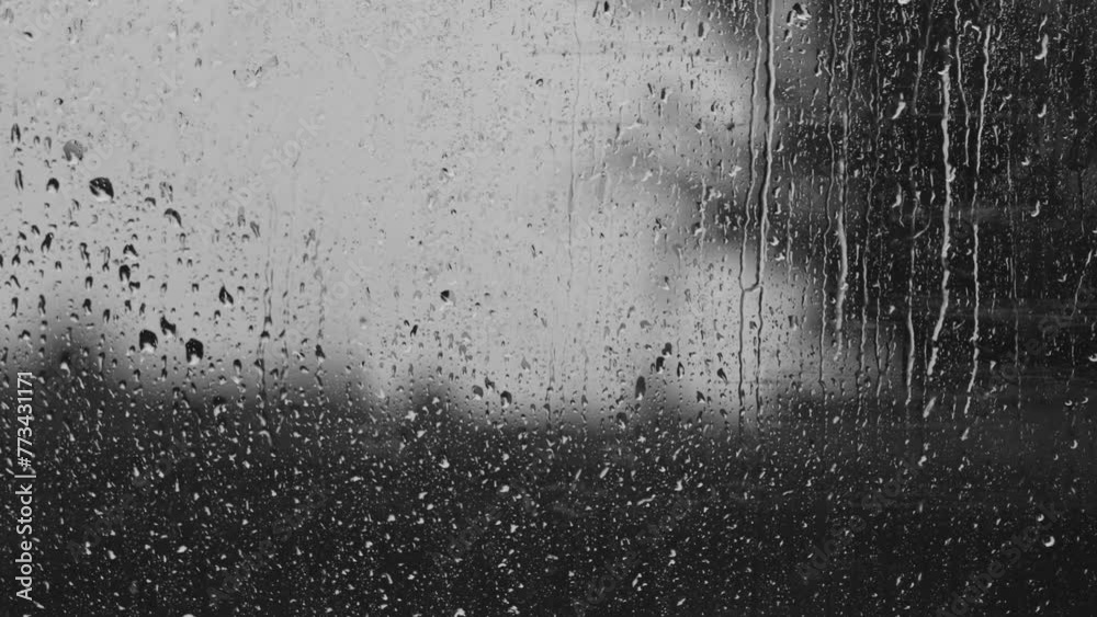 Vidéo Stock 4k Loop Rain Drops Falling Alpha, Real Rain, High quality ...