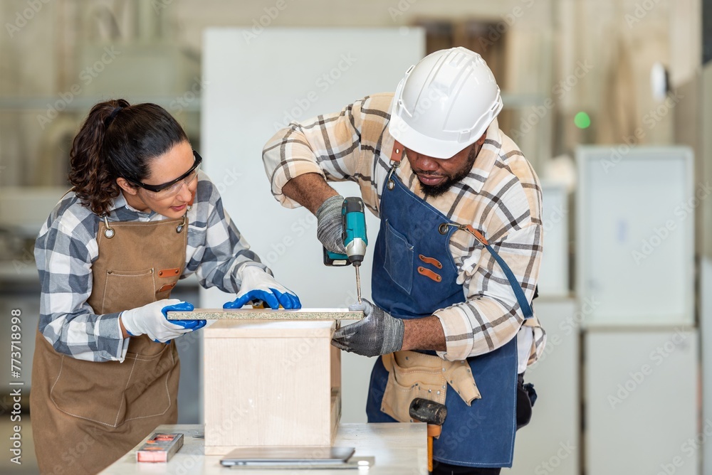 Two colleague young aged carpenter standing aim equipment tool for wood ...