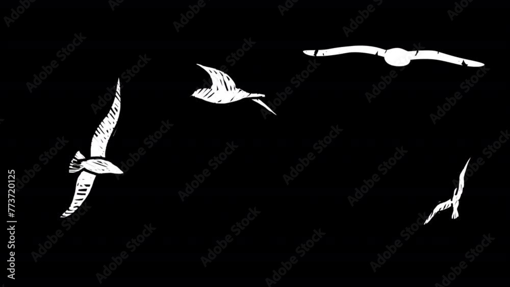 2D animation of seagull birds flying on a transparent background ...
