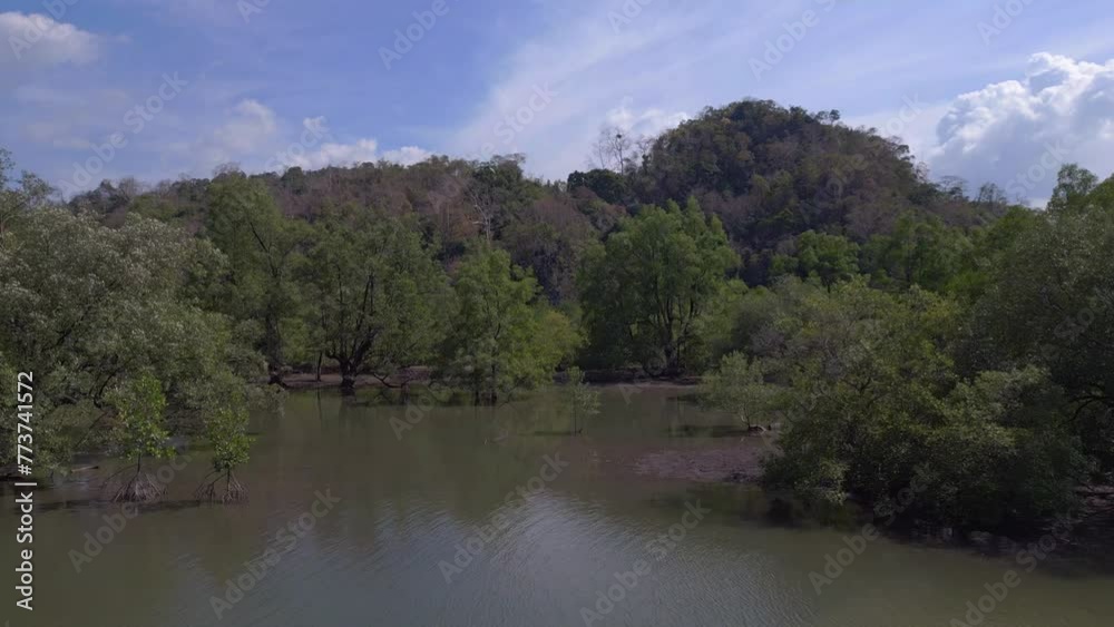 Mangroves river view lush greenery cloudy sky. Great aerial top view ...