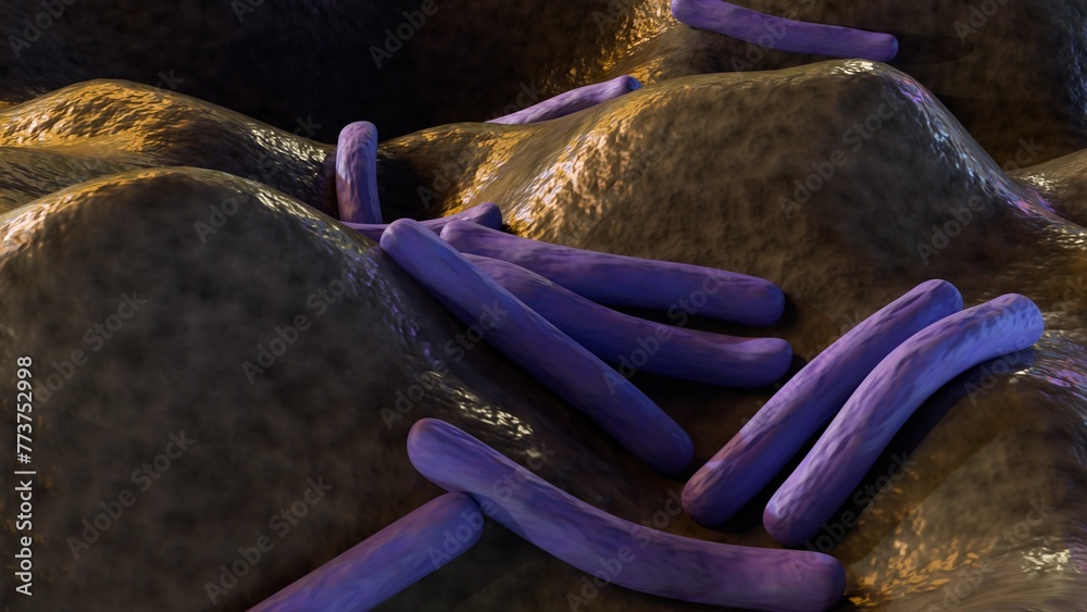 3d rendering of Mycobacterium leprae, is a gram-positive bacteria that ...