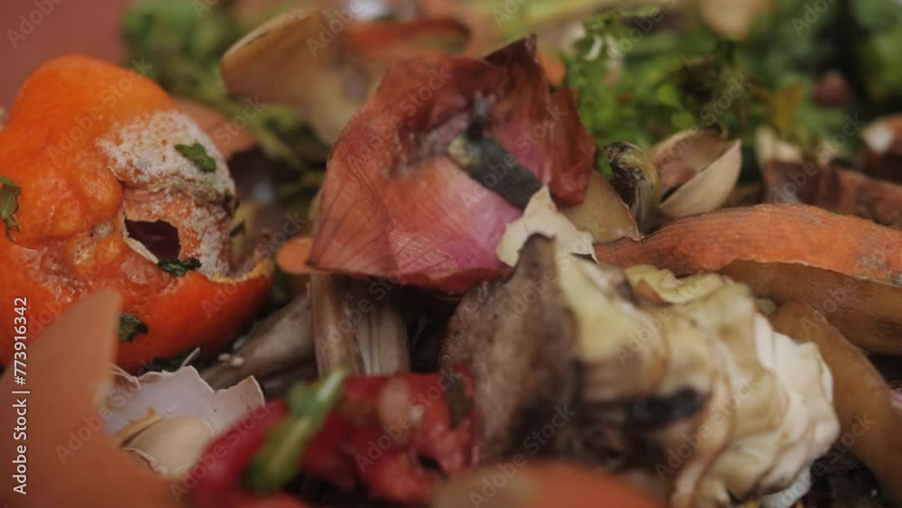 Heap of organic waste, food waste. Disposing of discarded food. A ...