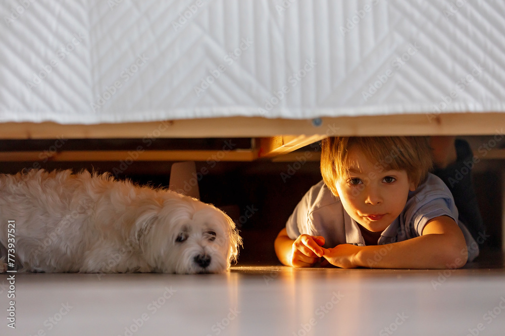 Little preschool child, hiding under the bed with his dog, holding ...