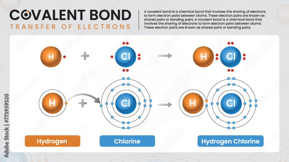 Covalent Chemical Bonding Comprehensive Infographics Guide to Formulas ...