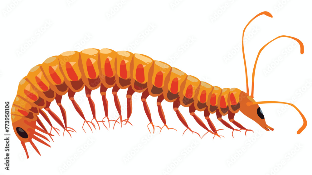Cartoon centipede isolated on white background flat vector Stock Vector ...