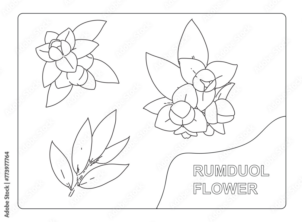 Romdoul flower vector. Mitrella Mesnyi. Typical Cambodian Flower. Khmer ...
