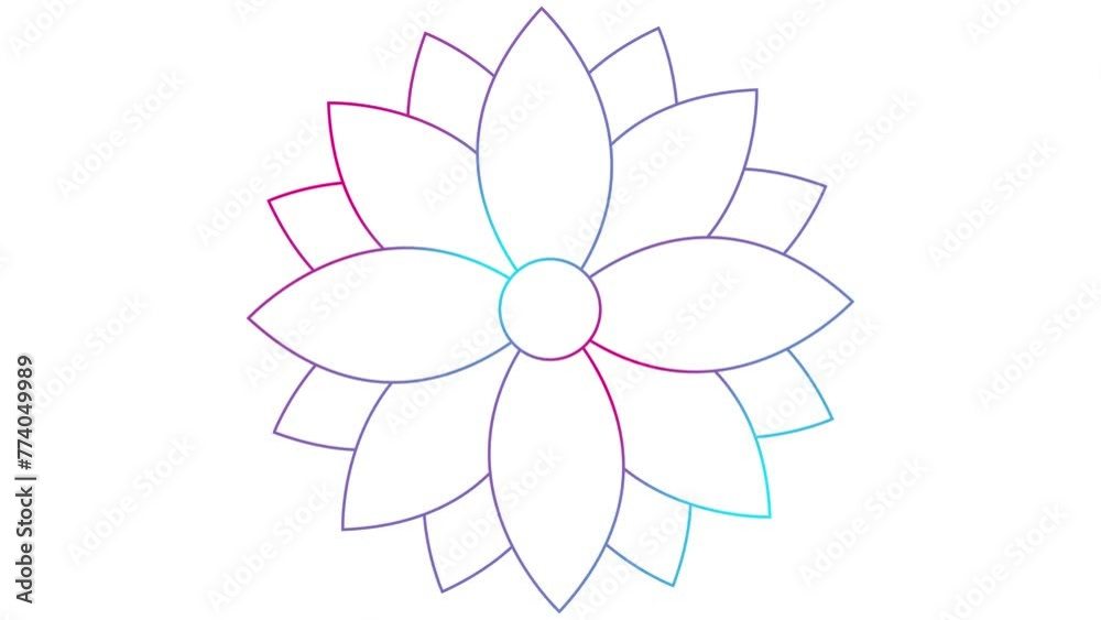 Animated pink blue linear flower is drawn gradually. Line symbol of ...
