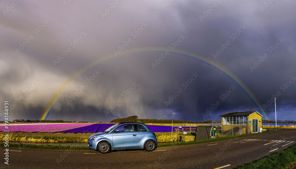 Blue Fiat 500e convertible with sunroof next to blooming tulip and ...