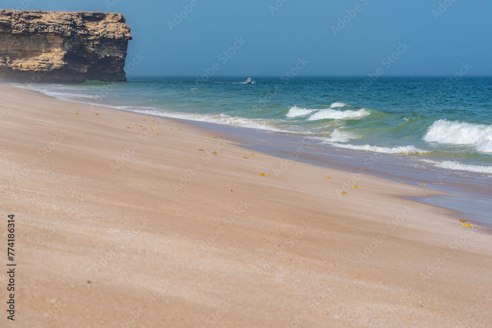 Oman images from various cities old buildings landscapes villages ...