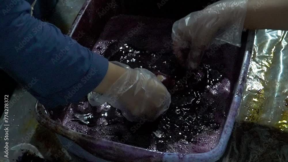 Slow motion footage of participants learning to dye traditional batik ...