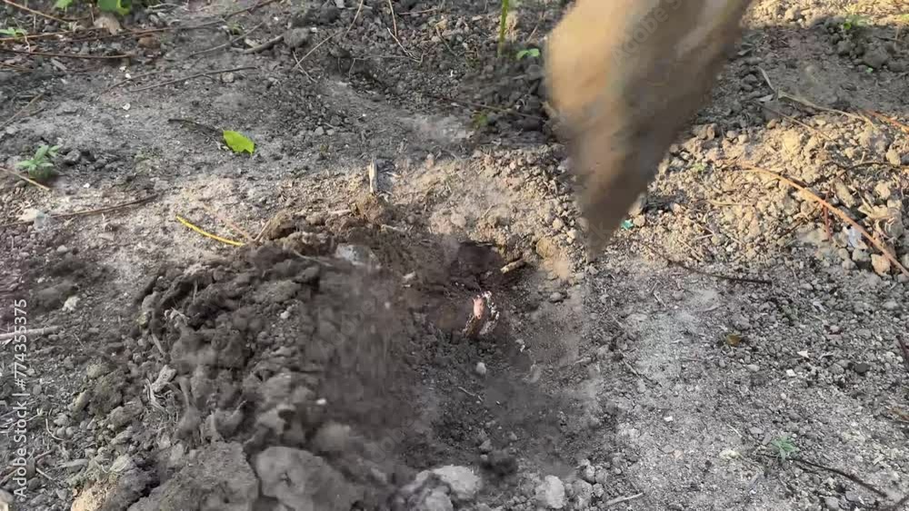 agriculture hoe farmer field nature farm work tool dig farming. garden ...