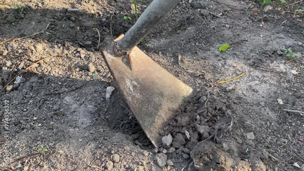 Vidéo Stock agriculture hoe farmer field nature farm work tool dig ...