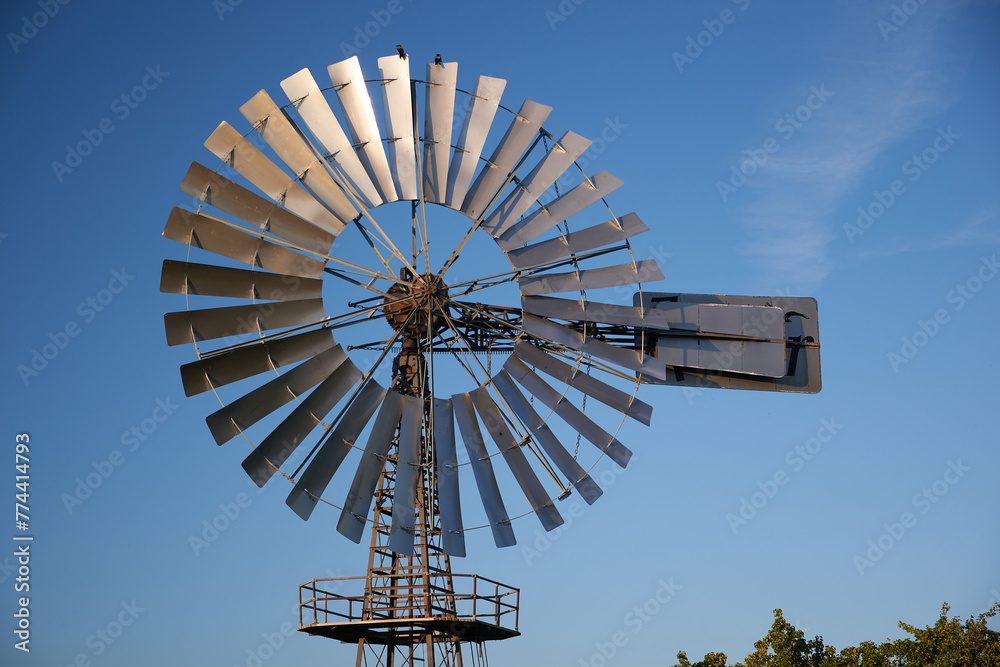 windmill used for regulationof water flow in agriculture as water pump ...