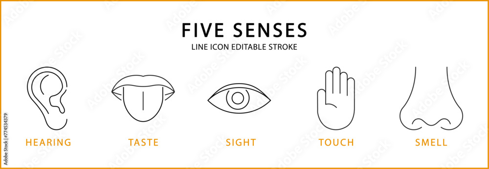 Five Senses Icons. Five senses icon set. Five senses Line Icons. Vector ...