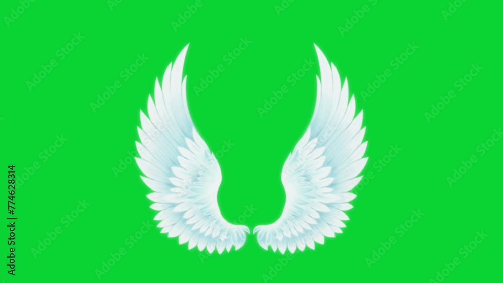 Real Angel wings icons, 3D Animation flying wings Video Green Screen ...